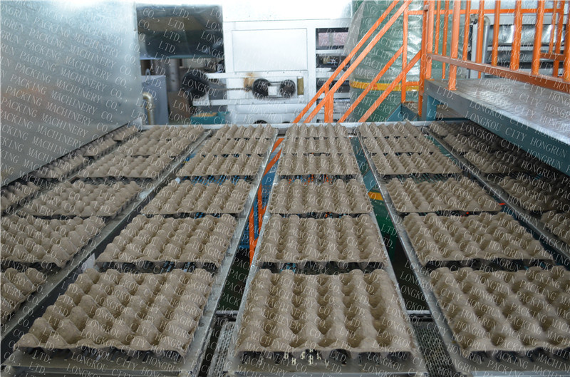 4 Side * 4 Mould Rotary Type Pulp Egg Tray Making Machine 3000pcs/H