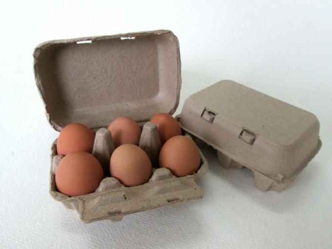 Automatic Paper Egg Carton Making Machine With Drying System Fast Speed