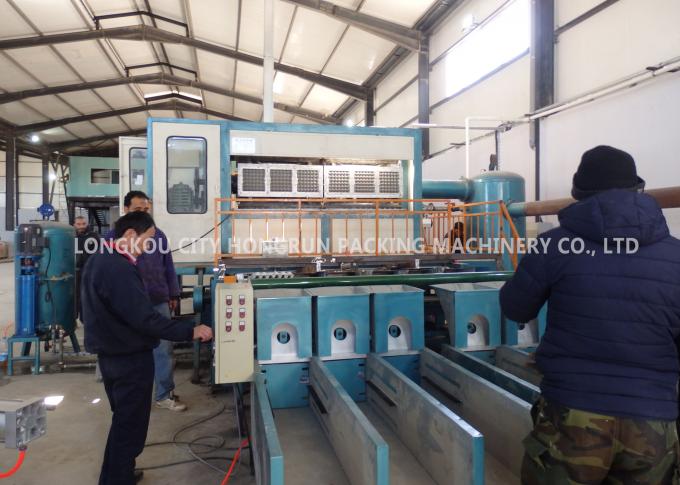 Diesel Fuel Egg Tray Production Line Pulp Moulding Machine 50HZ