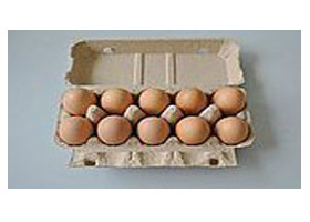 Roller type paper egg tray machine , egg box making machine