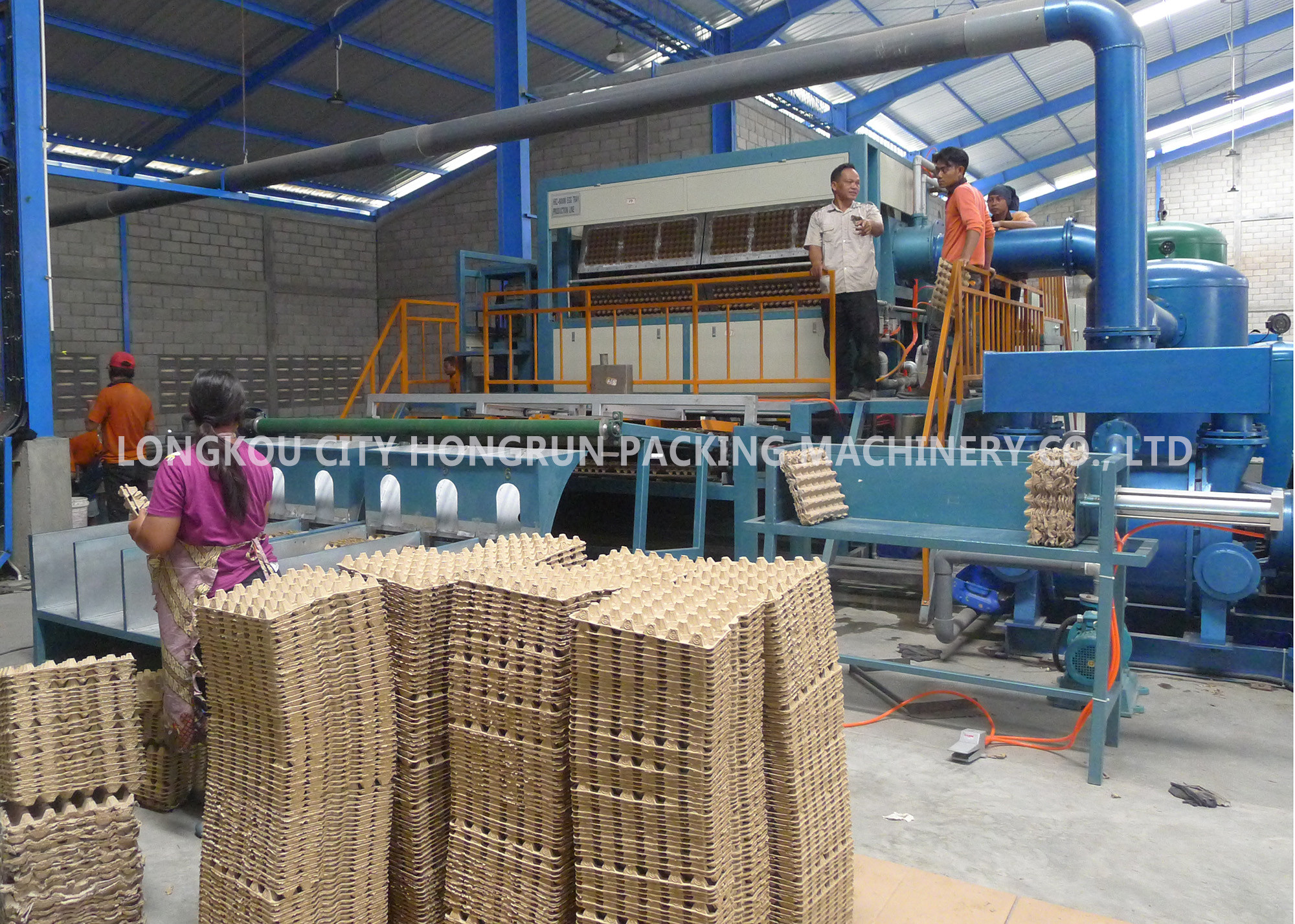 Fully Automatic Chicken Farm Pulp Egg Tray Machine With Multilayer ...